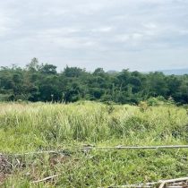Jual Tanah 103 Hektar di Jasinga Bogor Dekat Jalan Propinsi, Alun-Alun ...
