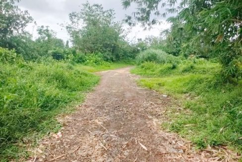 Jual Tanah 103 Hektar di Jasinga Bogor Dekat Jalan Propinsi, Alun-Alun ...